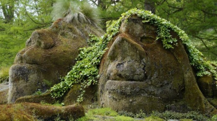 Bli trolljägare du också! - Jägarbloggen